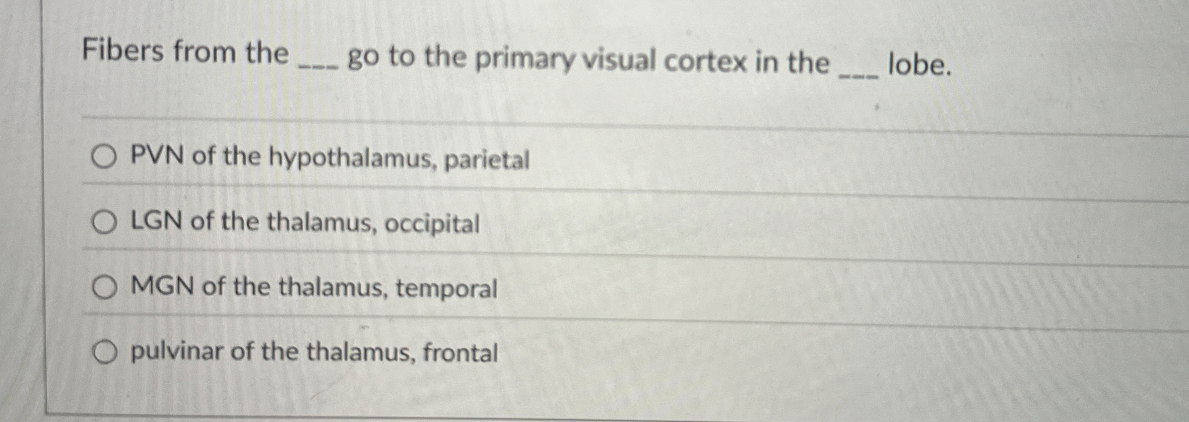 Solved Fibers from the q, ﻿go to the primary visual cortex | Chegg.com