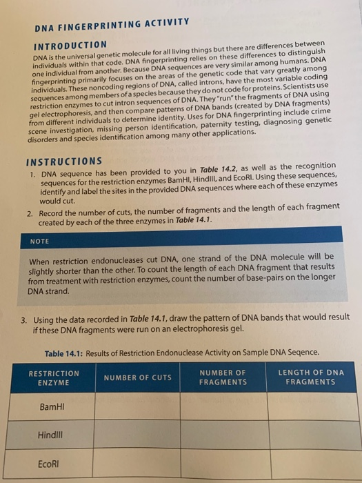 Solved DNA FINGERPRINTING ACTIVITY INTRODUCTION DNA is the | Chegg.com