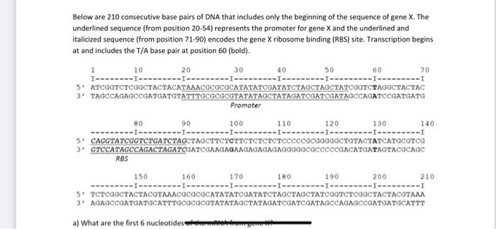 Solved Below are 210 consecutive base pairs of DNA that | Chegg.com
