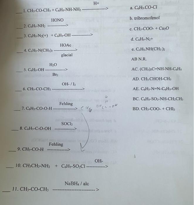 Solved H+ 1. CH3-CO-CH3 + C6H-NH-NH2 a. C.HS.CO-CI HONO b. | Chegg.com