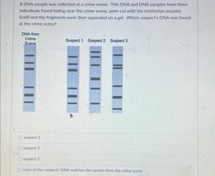 Solved A DNA sample was collected at a crime scene. This DNA | Chegg.com