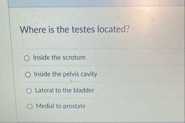 Where is the testes located?Inside the scrotumInside | Chegg.com