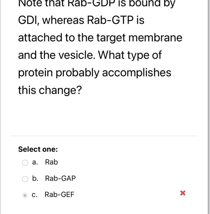 Solved Note that Rab-GDP is bound by GDI, whereas Rab-GTP is | Chegg.com