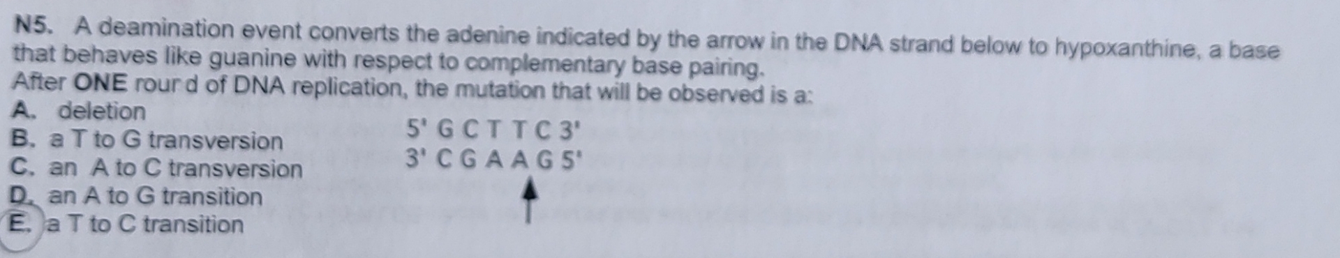 Solved N5. ﻿A deamination event converts the adenine | Chegg.com