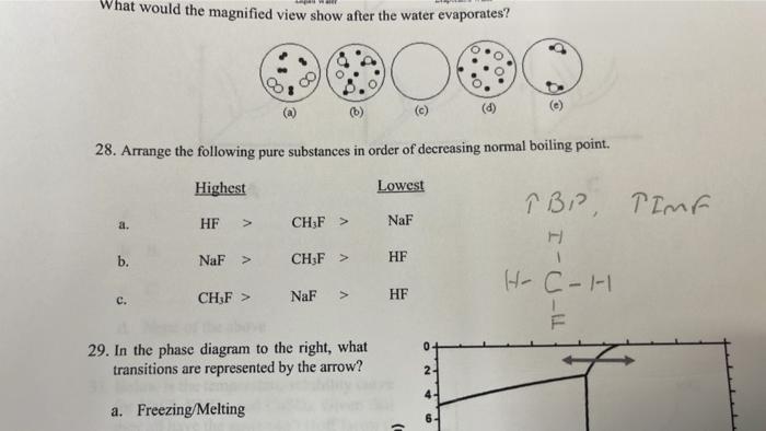 Solved What would the magnified view show after the water | Chegg.com
