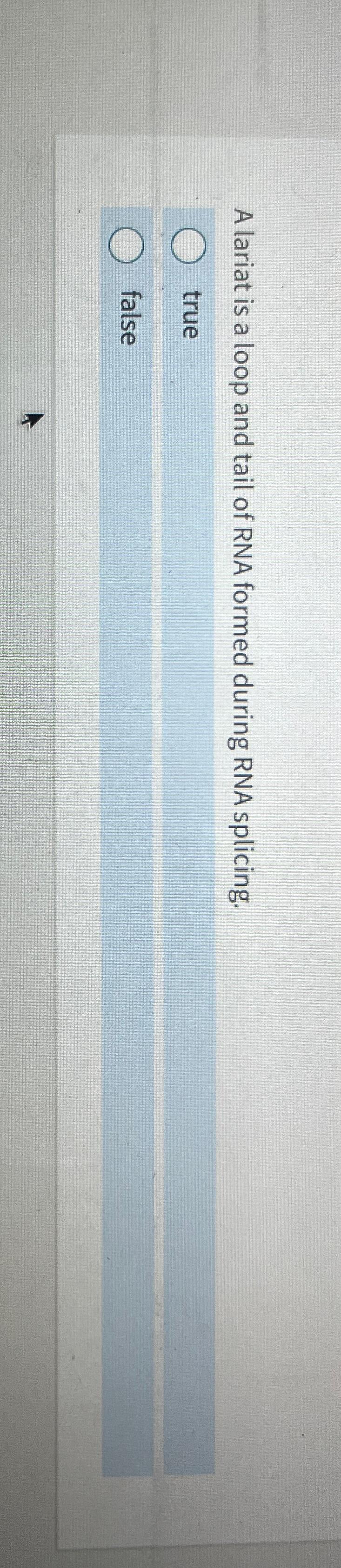 Solved A lariat is a loop and tail of RNA formed during RNA | Chegg.com