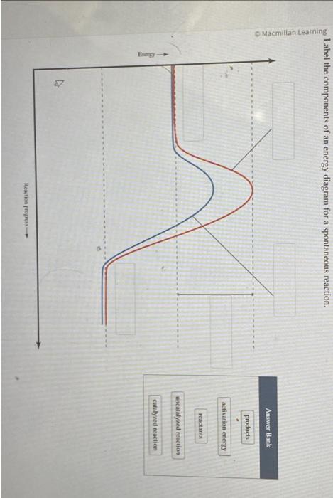 Solved Calculate the rate constant, k, for a reaction at | Chegg.com