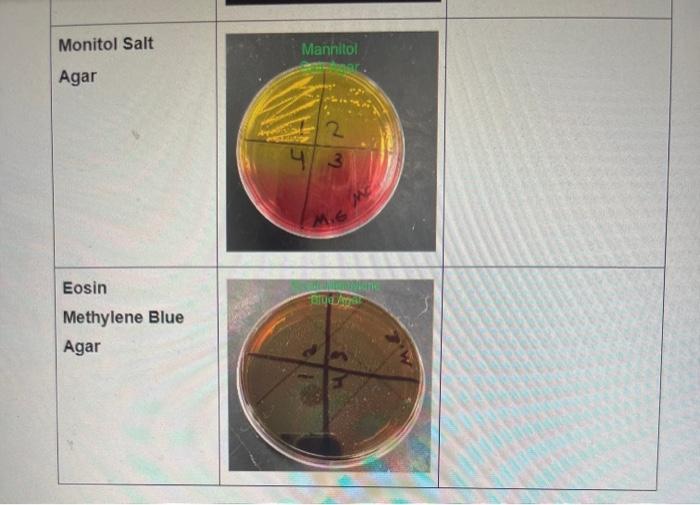 Solved 3. Identify the GENUS and SPECIES of the "pathogen" | Chegg.com