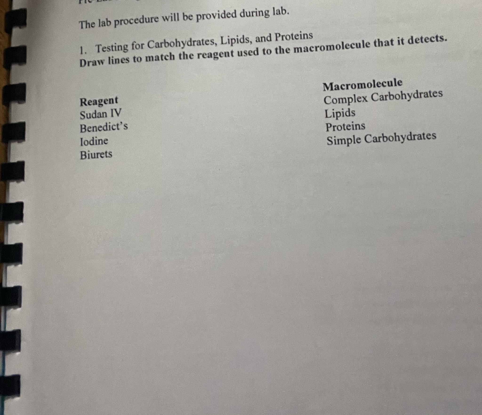 Solved The lab procedure will be provided during lab.Testing | Chegg.com