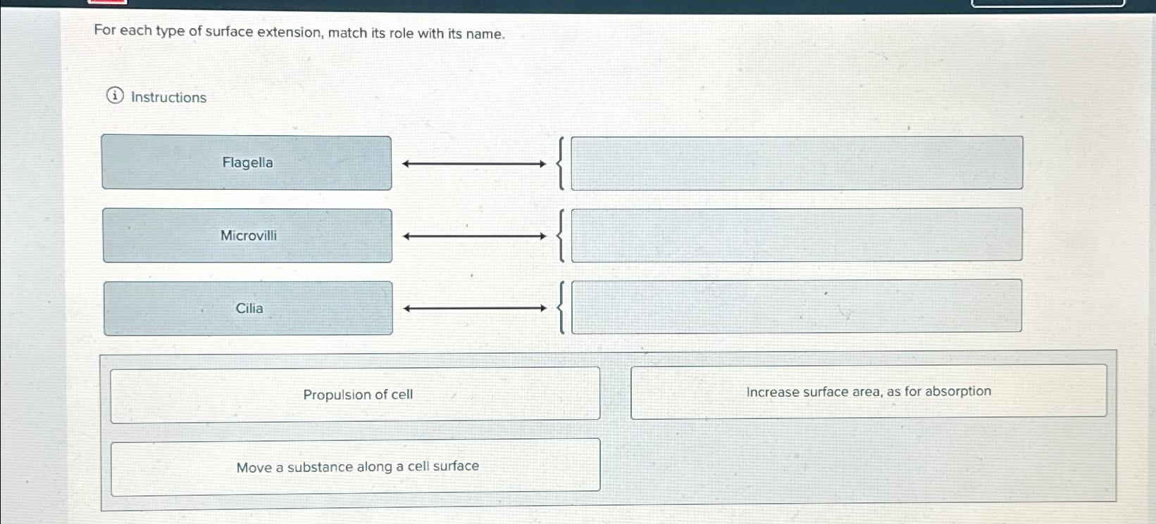 Solved For each type of surface extension, match its role | Chegg.com