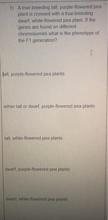 Solved 1) A true-breeding tall, purple-flowered pea plant is | Chegg.com