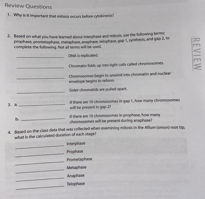 Solved Review Questions 1. Why is it important that mitosis | Chegg.com