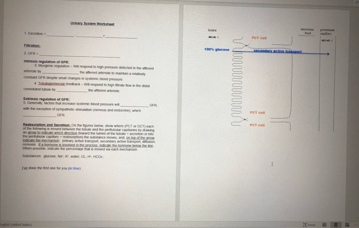 Solved Urinary System Worksheet 1. Excretion- Filtration: 1 | Chegg.com