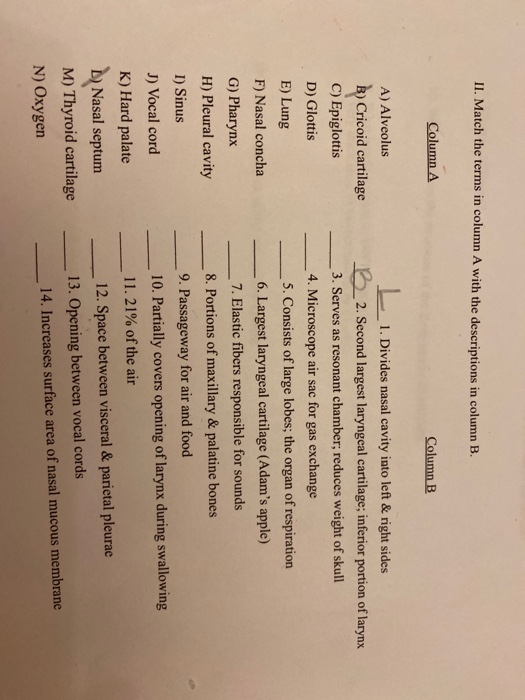 Solved II. Match the terms in column A with the descriptions | Chegg.com