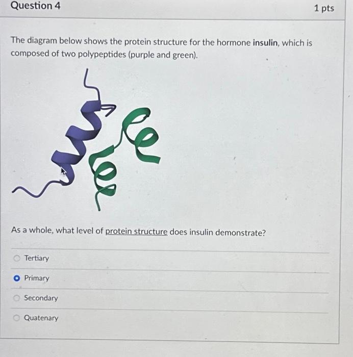 Solved Question 4 The diagram below shows the protein | Chegg.com