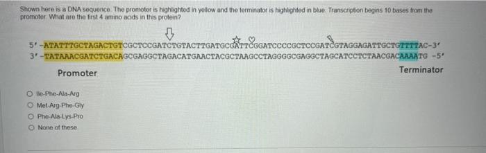 Solved Shown here is a DNA sequence. The promoter is | Chegg.com