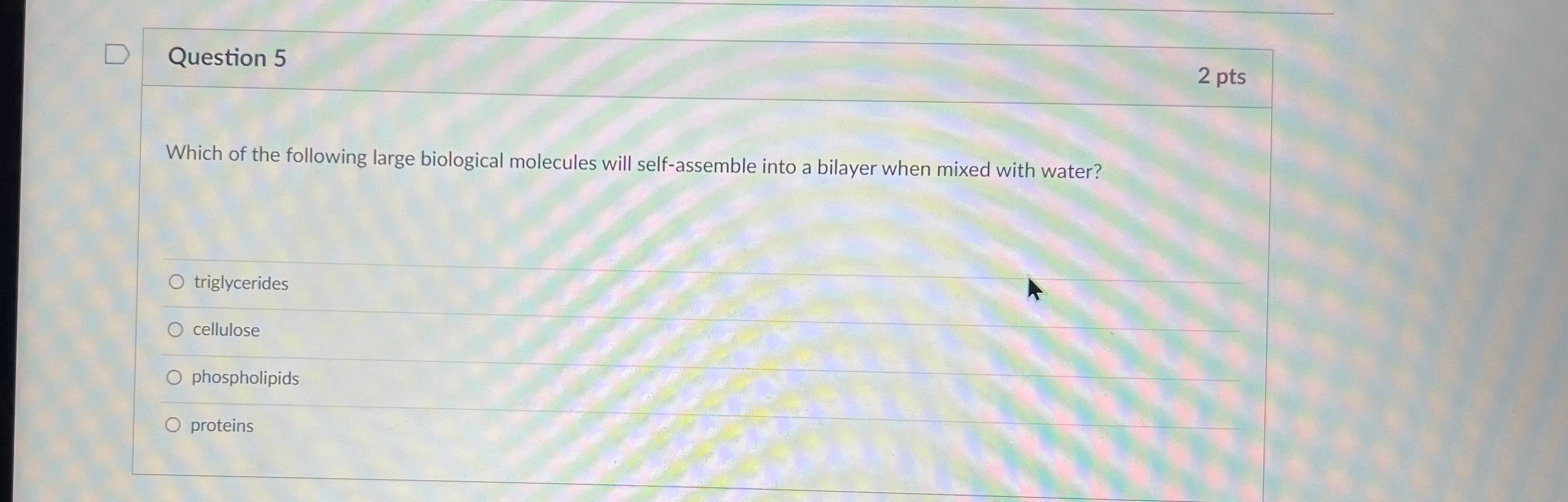 Solved Question 52 ptsWhich of the following large | Chegg.com Solved Question 52 ptsWhich of the following large | Chegg.com