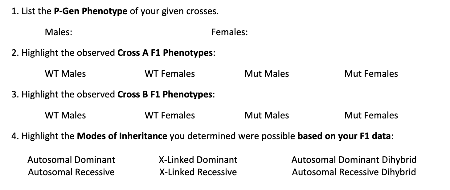 Solved 1. ﻿List the P-Gen Phenotype of your given crosses. | Chegg.com