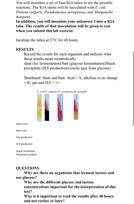 Solved You will inoculate a set of four KIA tubes to see the | Chegg.com