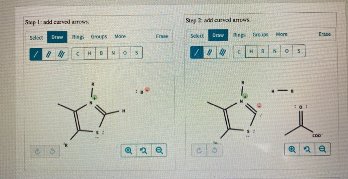 Solved > Thiamin pyrophosphate (TPP) is a co-enzyme of | Chegg.com