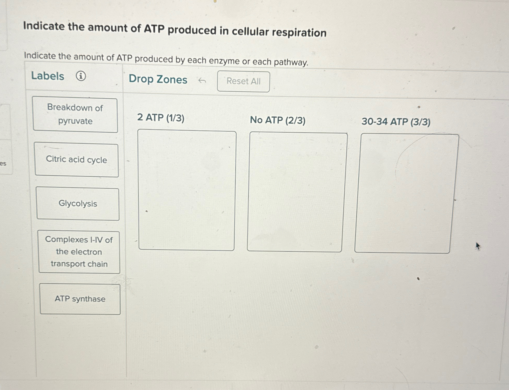 Solved Indicate the amount of ATP produced in cellular | Chegg.com