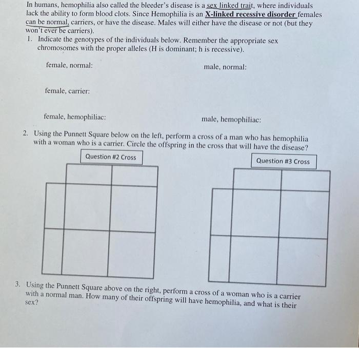 Solved In humans, hemophilia also called the bleeder's | Chegg.com