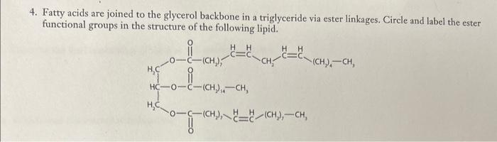Solved 4. Fatty acids are joined to the glycerol backbone in | Chegg.com