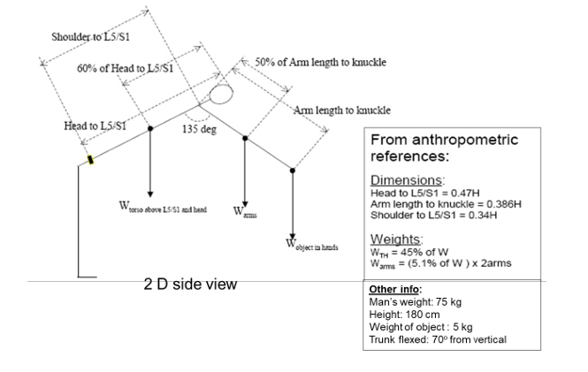 Solved What is the total loading on spine (compressive load | Chegg.com