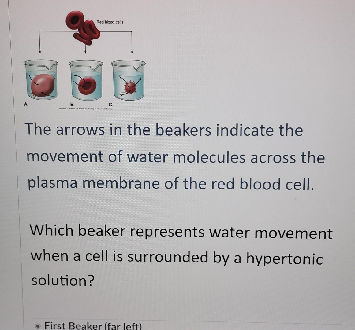 Solved The arrows in the beakers indicate the movement of | Chegg.com
