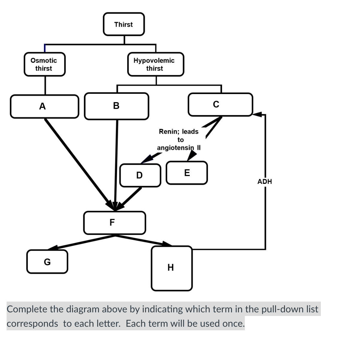 Solved Complete the diagram above by indicating which term | Chegg.com