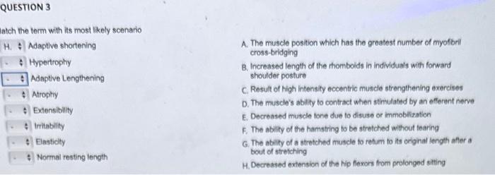 Solved atch the term with its most likely scenario Adaptive | Chegg.com