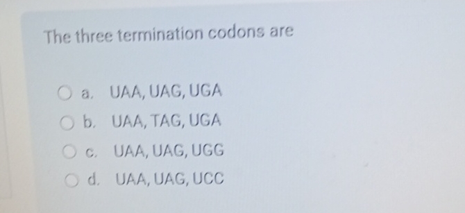 The three termination codons area. ﻿UAA, UAG, UGAb. | Chegg.com