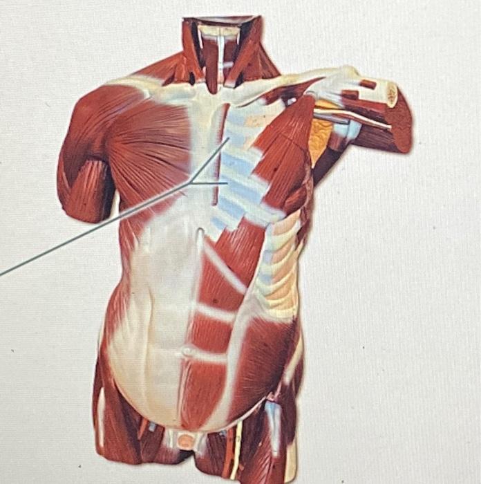 Solved label | Chegg.com