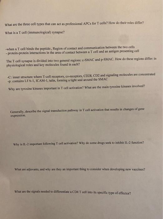 Solved Chapter 8 sample study questions What is the | Chegg.com