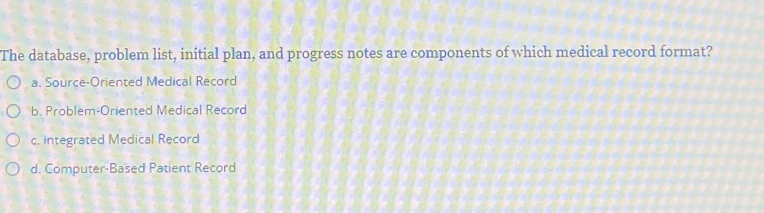 Solved The database, problem list, initial plan, and | Chegg.com