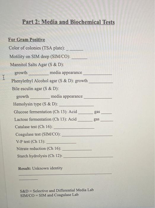 Solved Part 2: Media and Biochemical Tests For Gram Positive | Chegg.com