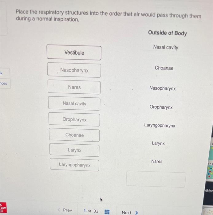Solved Place the respiratory structures into the order that | Chegg.com