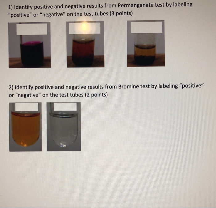Solved 1) Identify positive and negative results from | Chegg.com