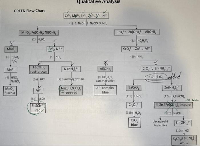 use the information in the RED and GREEN Flow Charts | Chegg.com