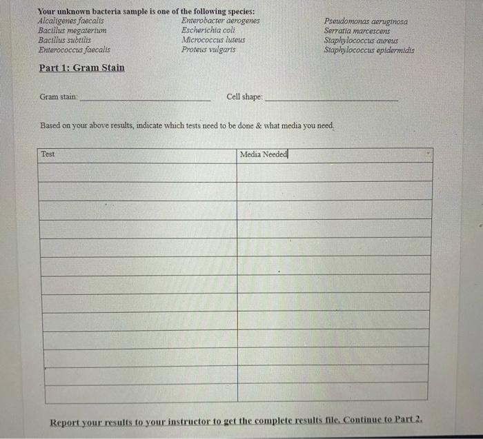 Solved Your unknown bacteria sample is one of the following | Chegg.com