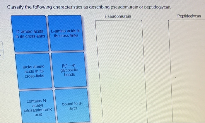 Solved Classify the following characteristics as describing | Chegg.com
