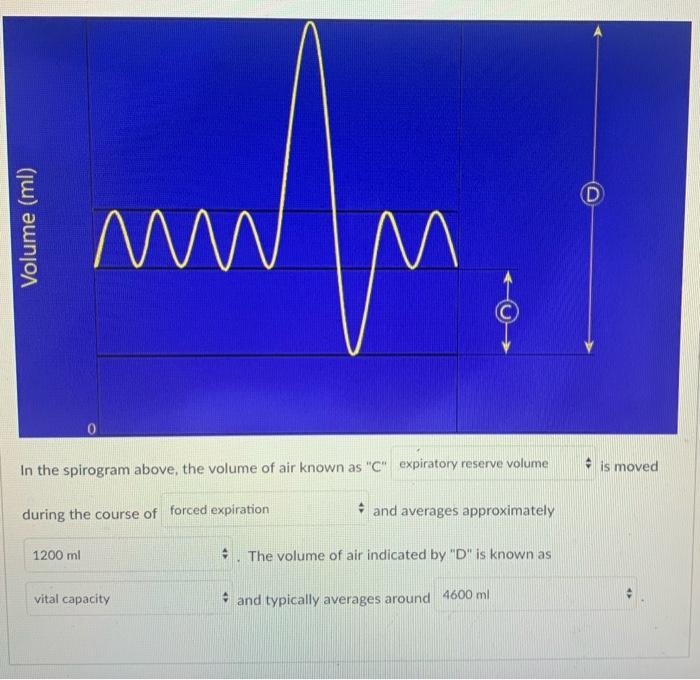 Solved D Volume (ml) mw M m In the spirogram above, the | Chegg.com