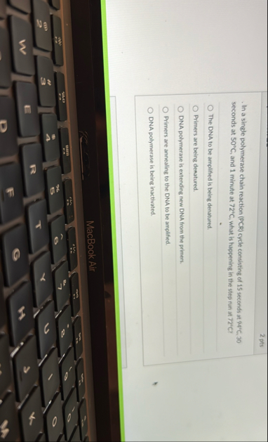 Solved 2 ﻿ptsIn a single polymerase chain reaction (PCR) | Chegg.com