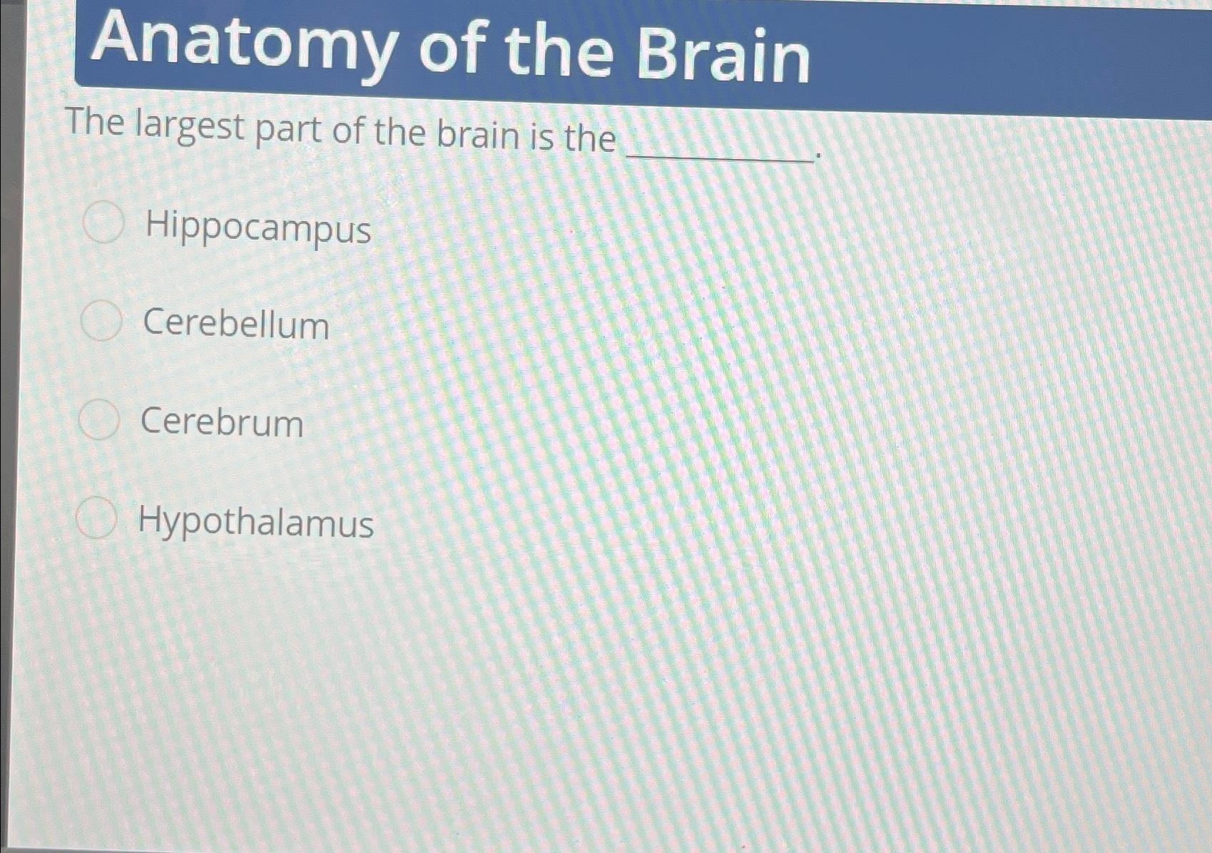Solved Anatomy of the BrainThe largest part of the brain is | Chegg.com