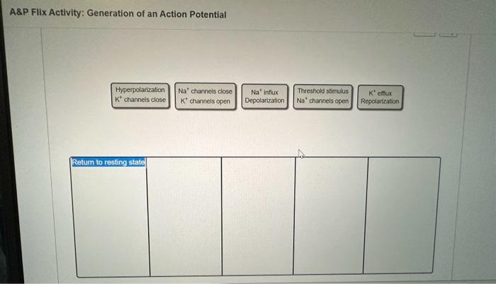 Solved A\&P Flix Activity: Generation of an Action Potential | Chegg.com