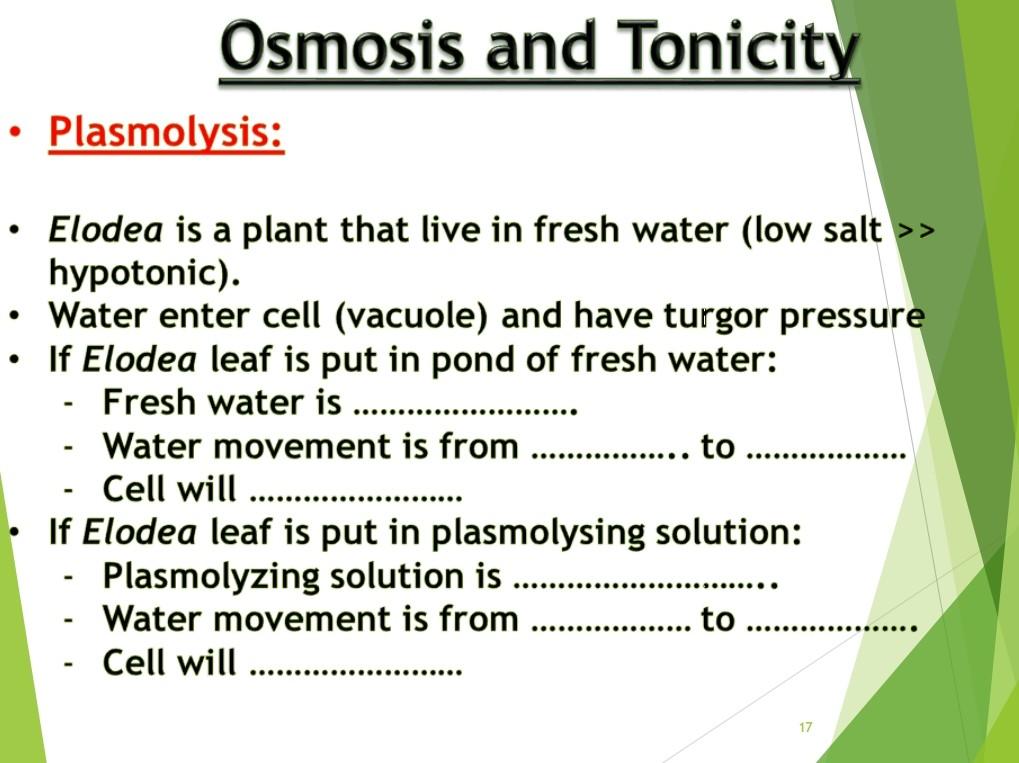 Solved Osmosis and Tonicity • Plasmolysis: . . Elodea is a | Chegg.com