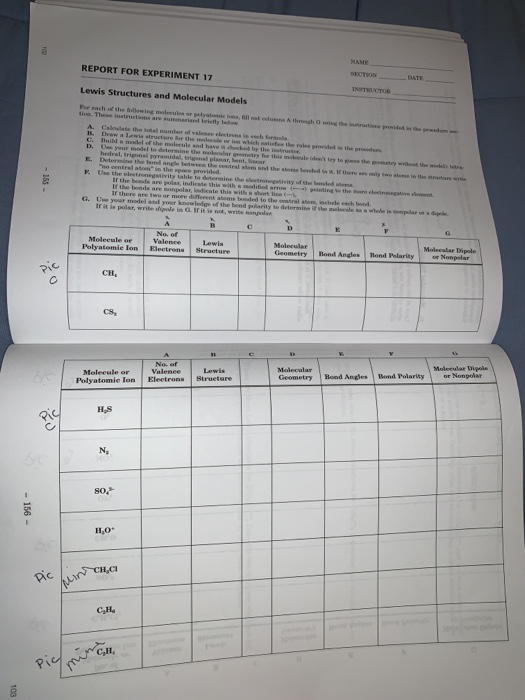 Solved REPORT FOR EXPERIMENT 17 SECTION -DATE Lewis | Chegg.com