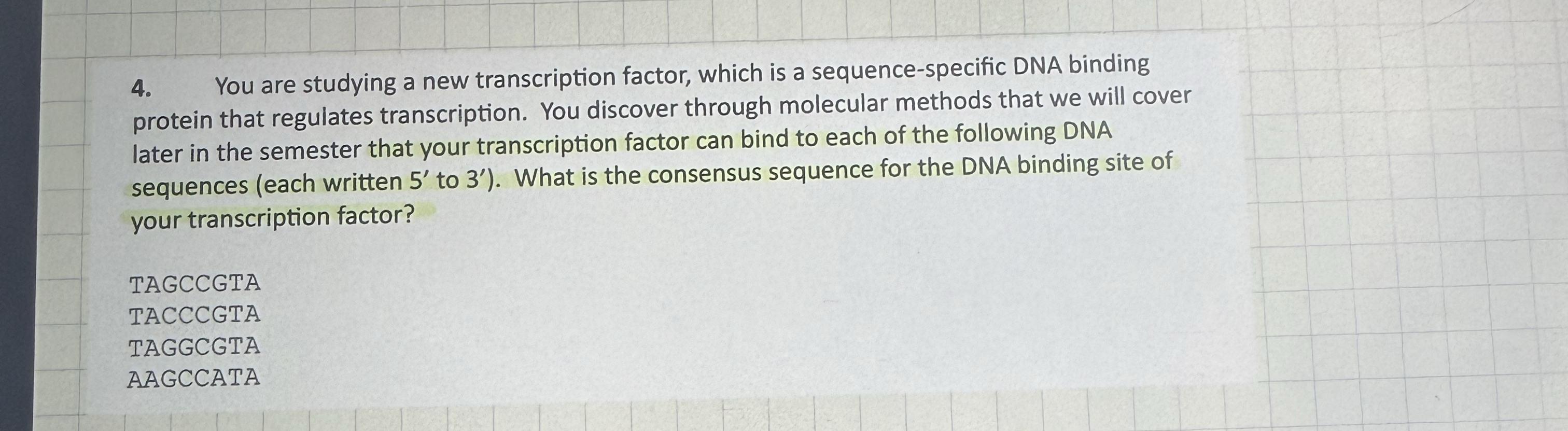Solved You are studying a new transcription factor, which is | Chegg.com