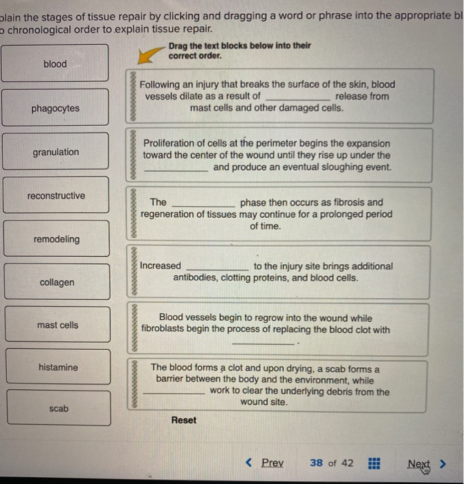Solved Click and drag each word into the appropriate | Chegg.com