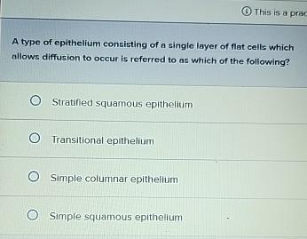 Solved A type of epithelium consisting of a single layer of | Chegg.com